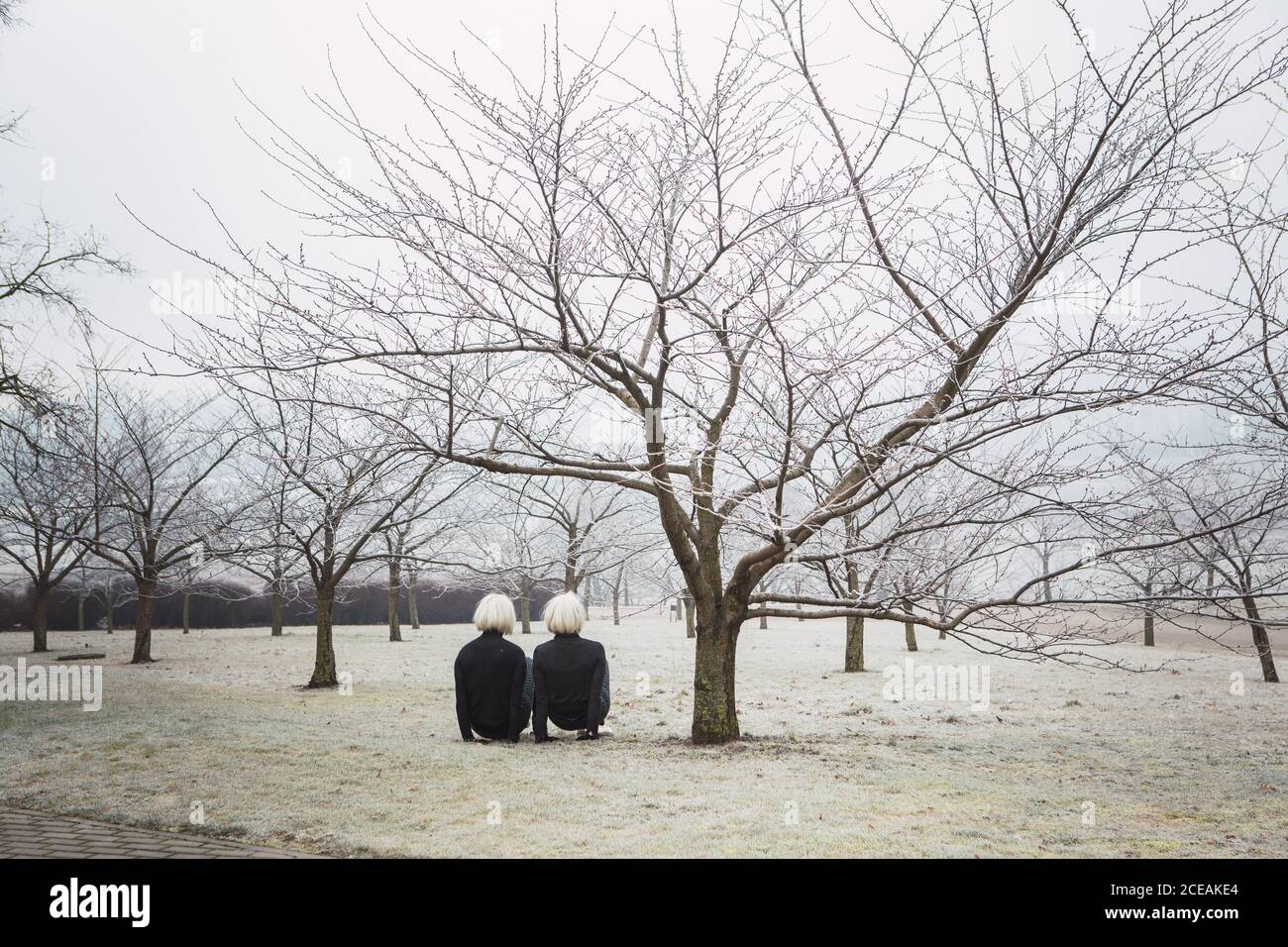Ladies sitting in grass hi-res stock photography and images - Alamy