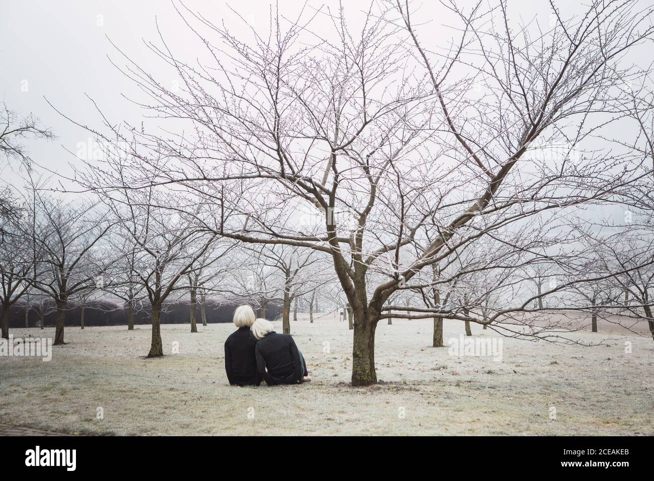 Ladies sitting in grass hi-res stock photography and images - Alamy