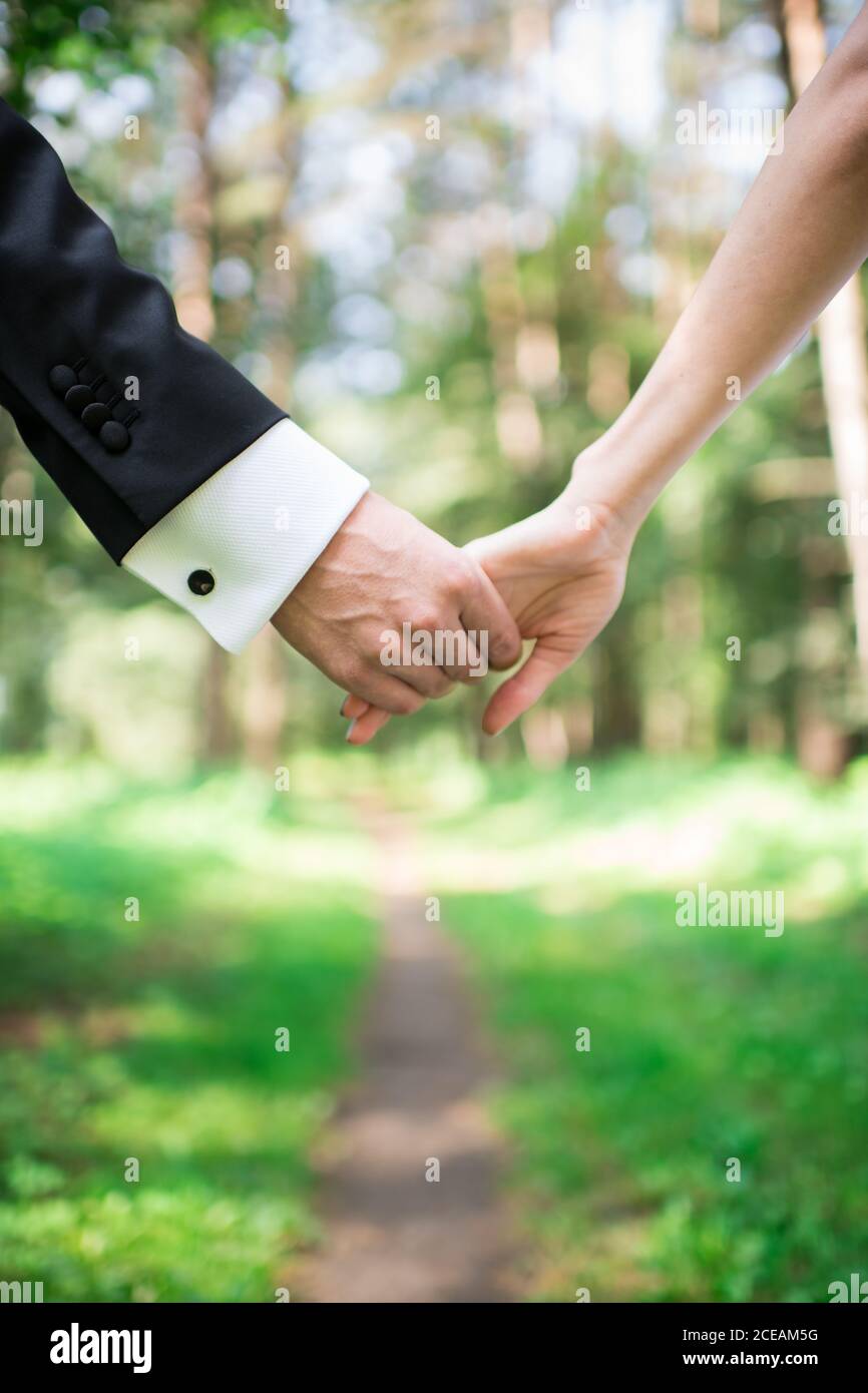 Crop bride and groom holding hands in nature Stock Photo - Alamy