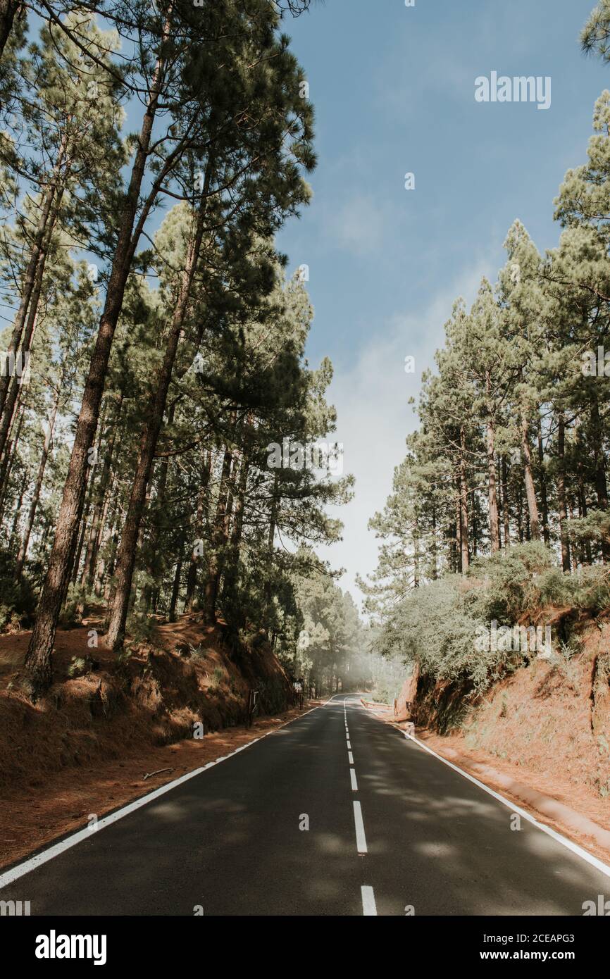 Meddle hi-res stock photography and images - Alamy