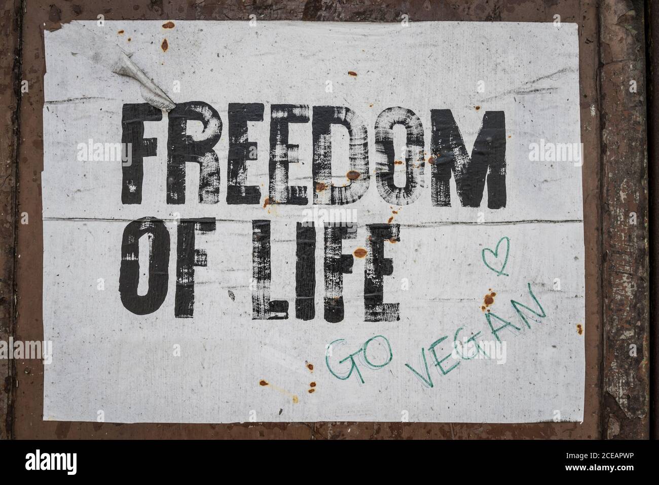 freedom of life Stock Photo - Alamy