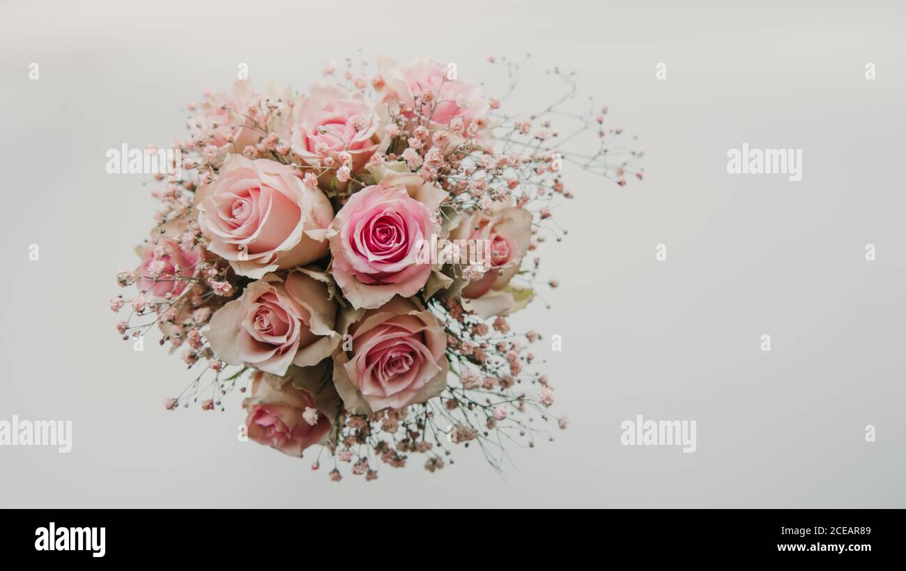 Top view bunch beautiful hi-res stock photography and images - Alamy