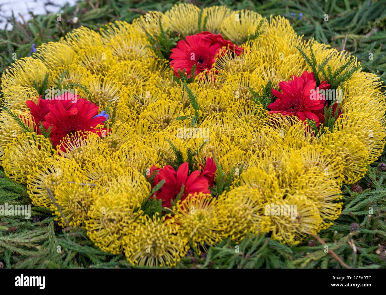 Beauty floristic decoration with colorful tropical flowers Stock Photo ...