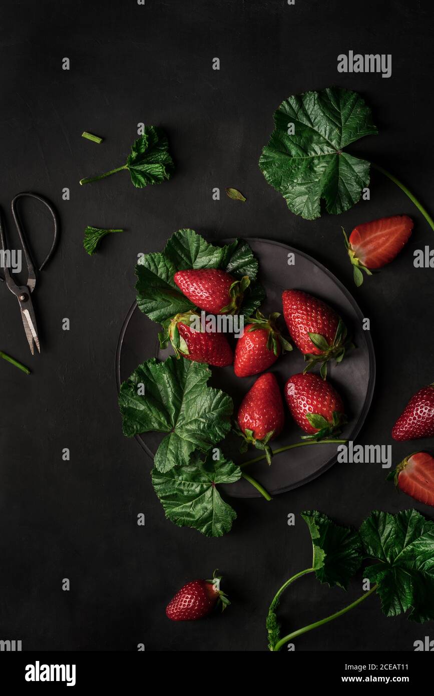 Strawberry arrangement hi-res stock photography and images - Alamy
