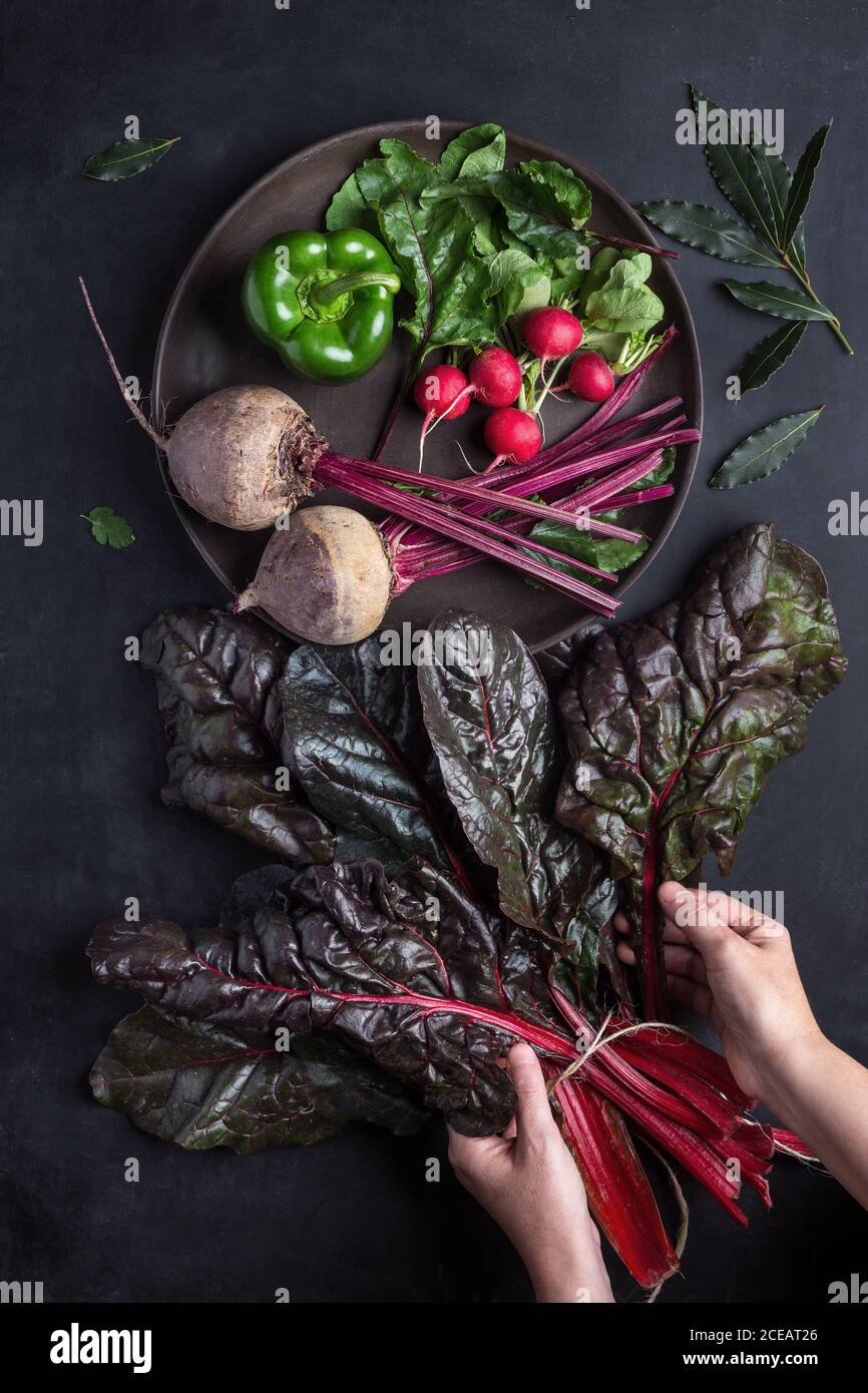 From above hands taking out beetroot leaves from the bunch Stock Photo ...