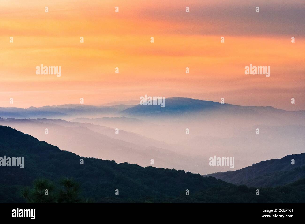 Fog ridges santa cruz mountains hi-res stock photography and images - Alamy