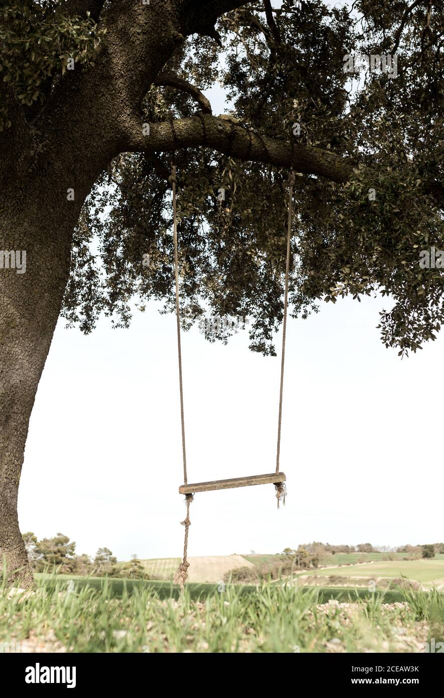 Tree swings hi-res stock photography and images - Alamy