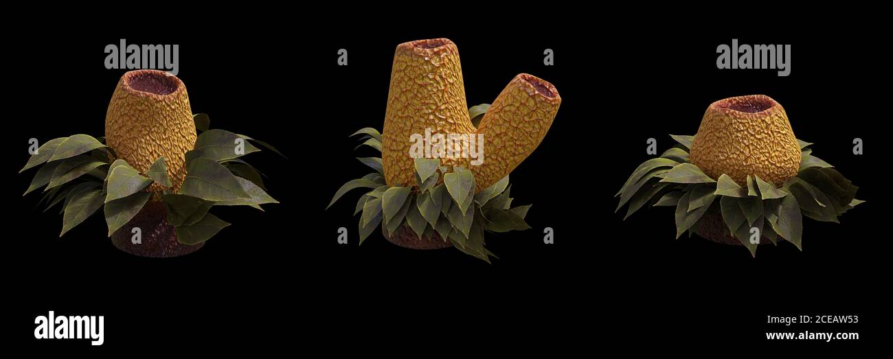 alien plant life, set of extraterrestrial flora isolated on black ...