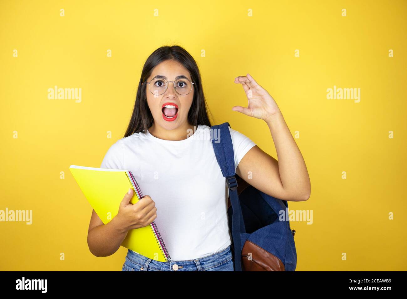 Young beautiful student woman wearing backpack holding notebook over ...