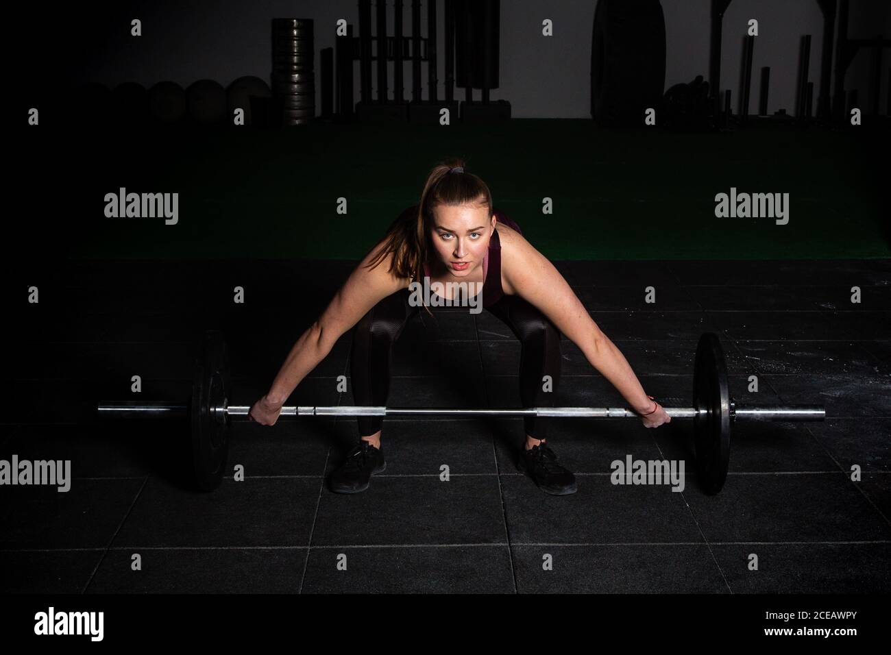 athletic young concentrated lady in sportswear upping barbell above ...