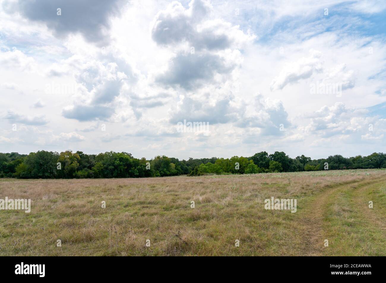 Large Gray and White Clouds Over Open Land With Tracks on Grass Stock ...