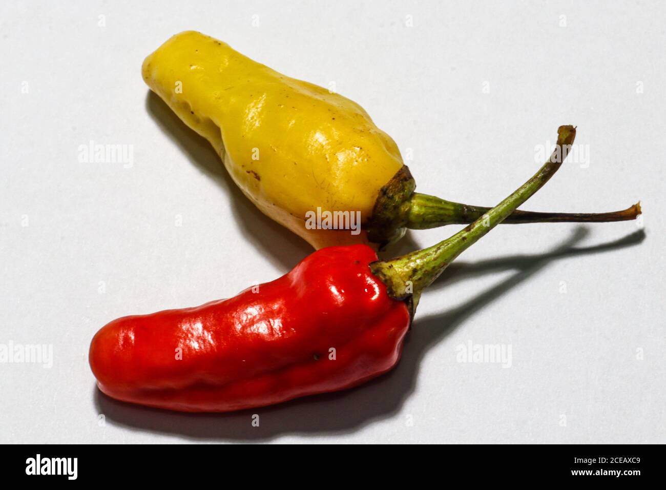 yellow and red bird's eye chilies isolated on a white background Stock ...