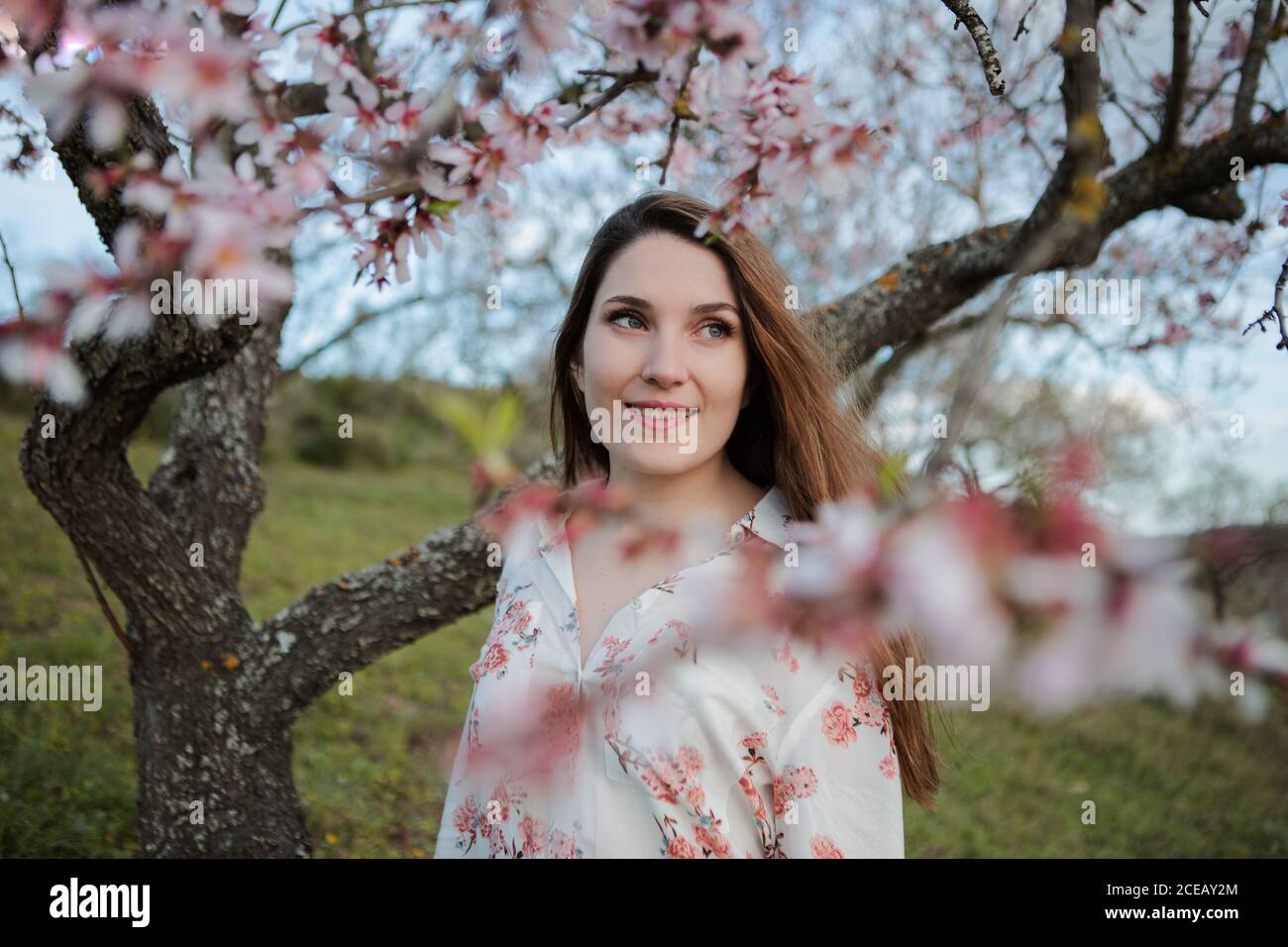 Side view of wistful doctor in uniform examining radiography picture of ...