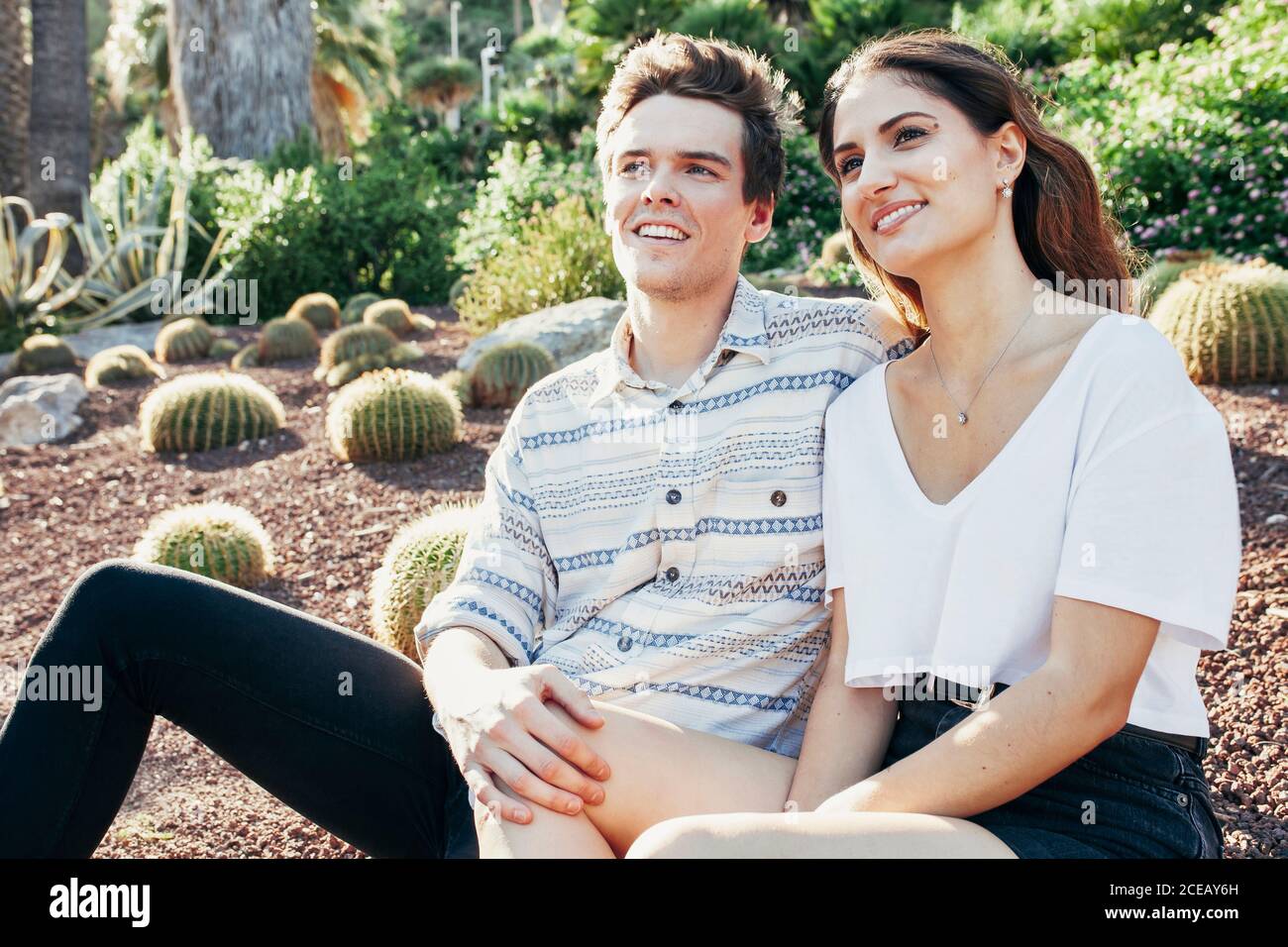Sitting and cactus hi-res stock photography and images - Alamy