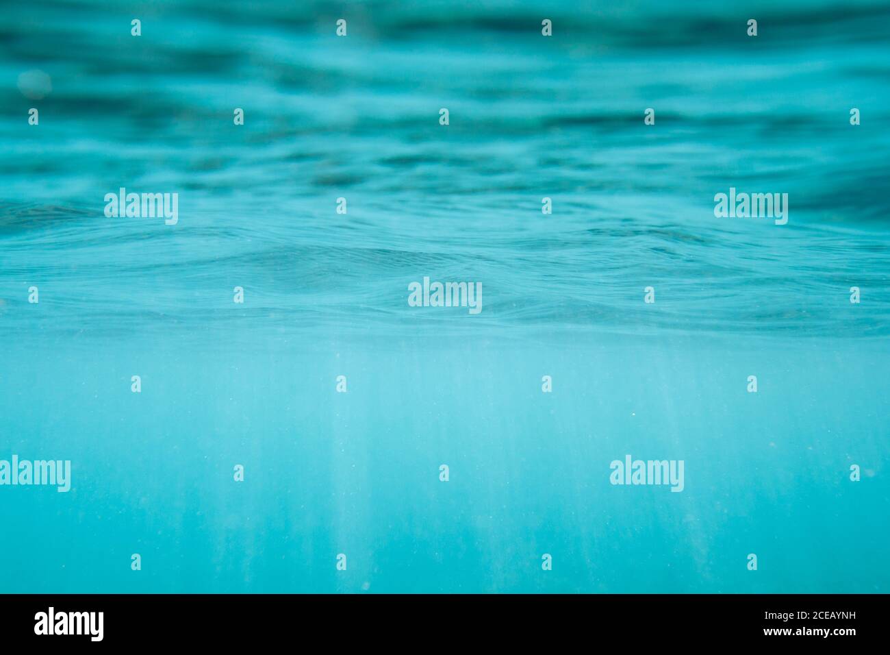 Calm transparent blue background under clear water in the open ocean ...