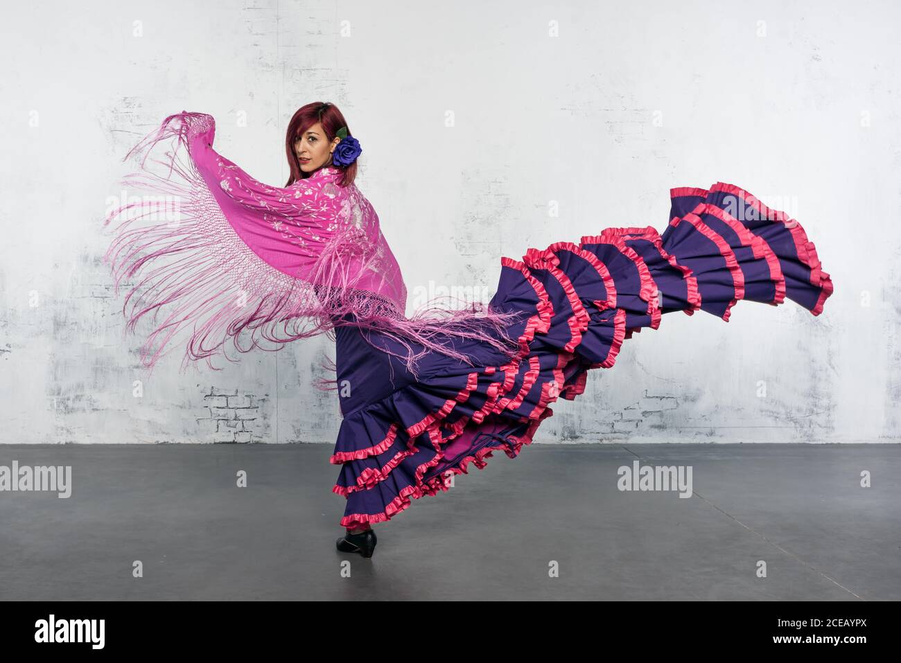 Flamenco dancer in action with the typical Spanish dance costume. High ...