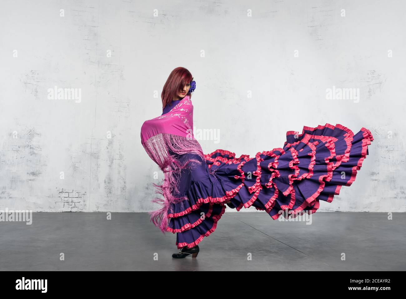 Flamenco dancer in action with the typical Spanish dance costume. High ...