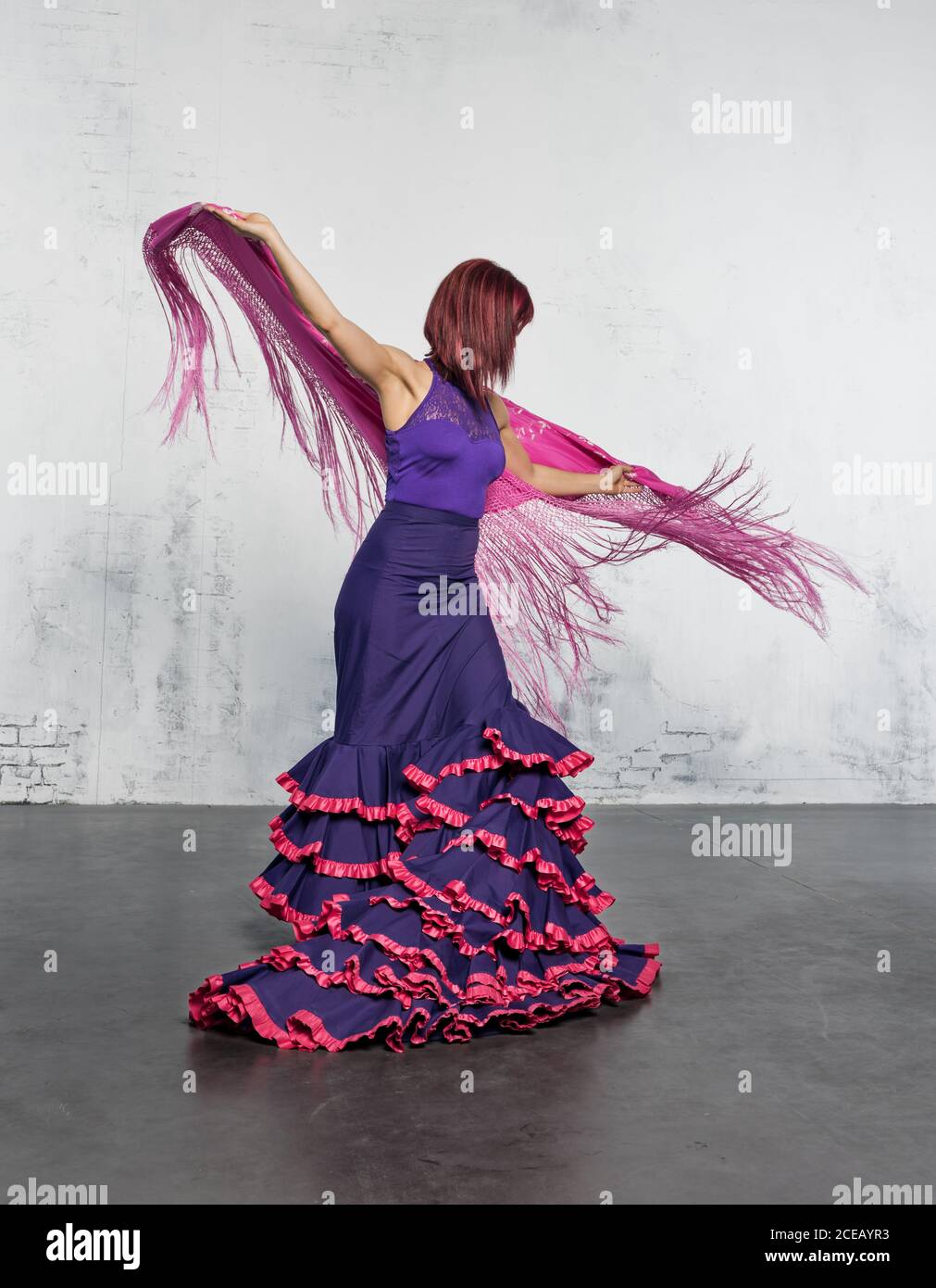 Flamenco dancer in action with the typical Spanish dance costume. High ...