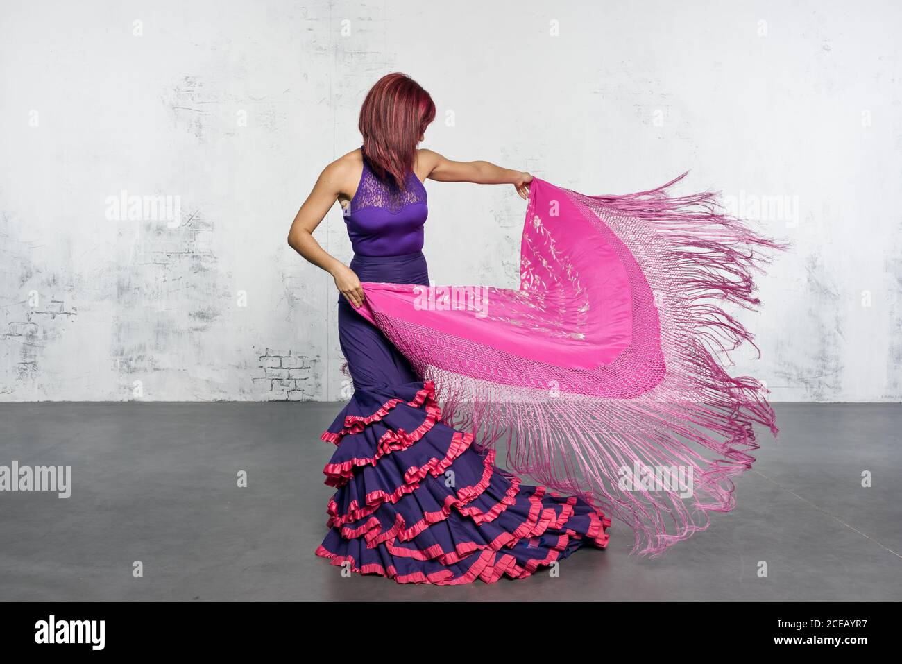 Flamenco dancer in action with the typical Spanish dance costume. High ...