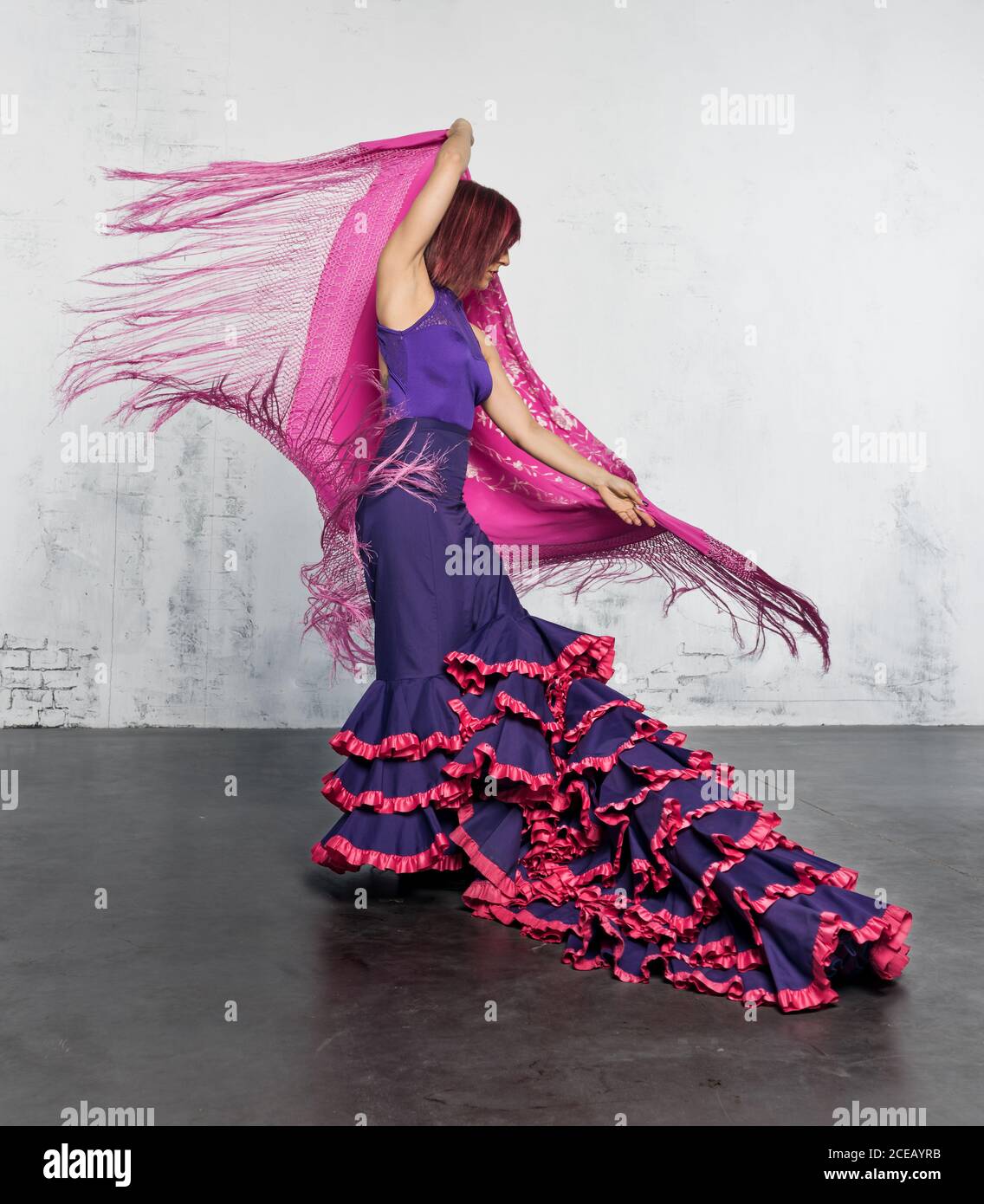 Flamenco dancer in action with the typical Spanish dance costume. High ...