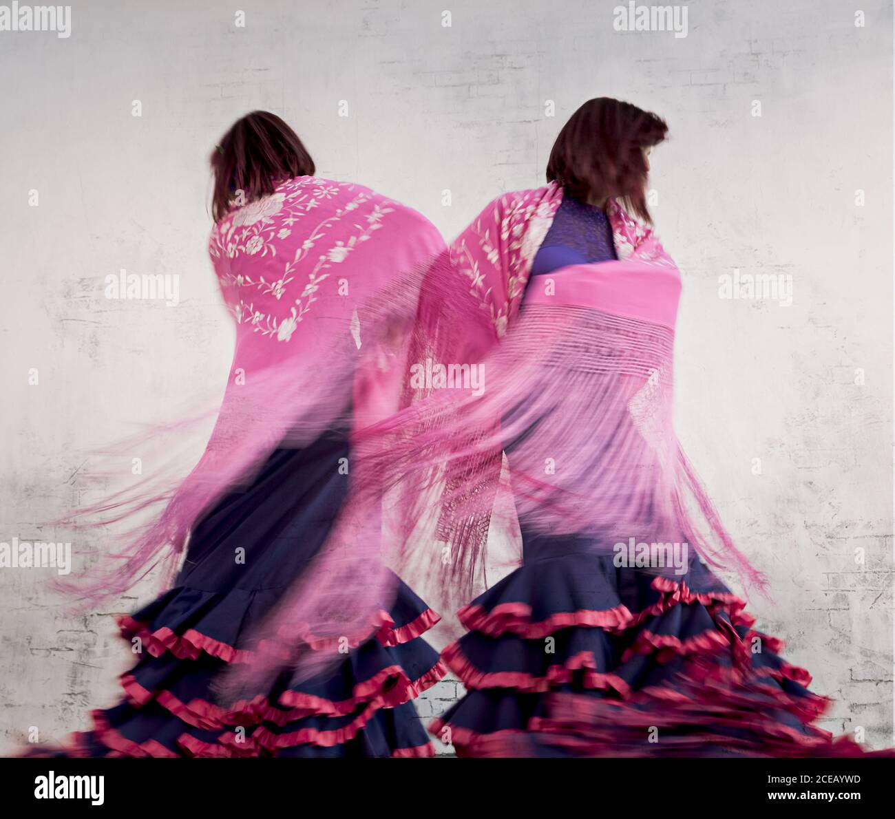 Flamenco dancer in action with the typical Spanish dance costume. High ...