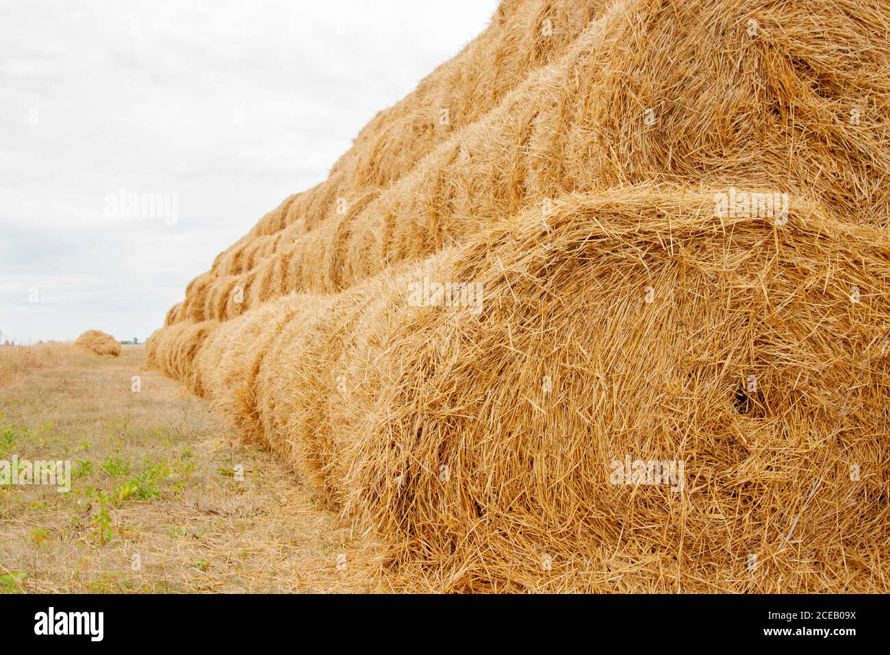 Pyramid of tightly twisted stacks of golden hay at the end of summer ...