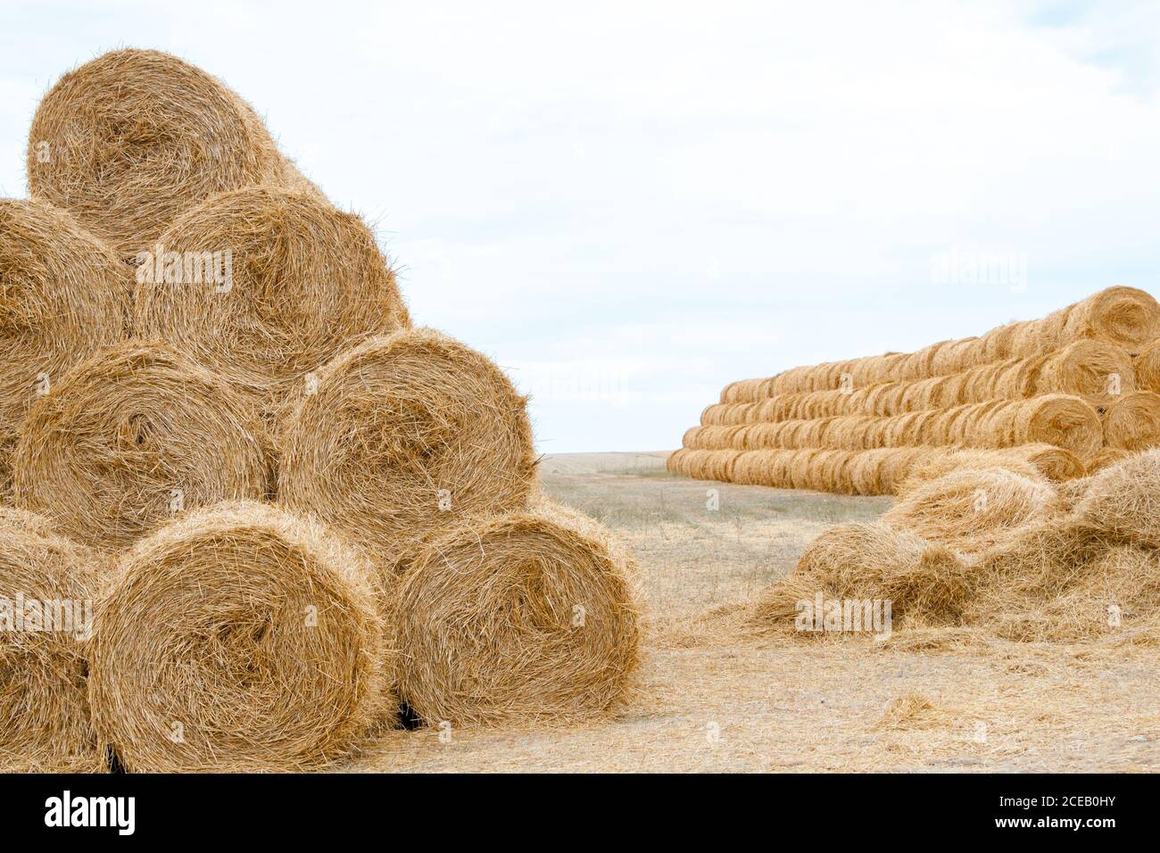 Pyramid of tightly twisted stacks of golden hay at the end of summer ...