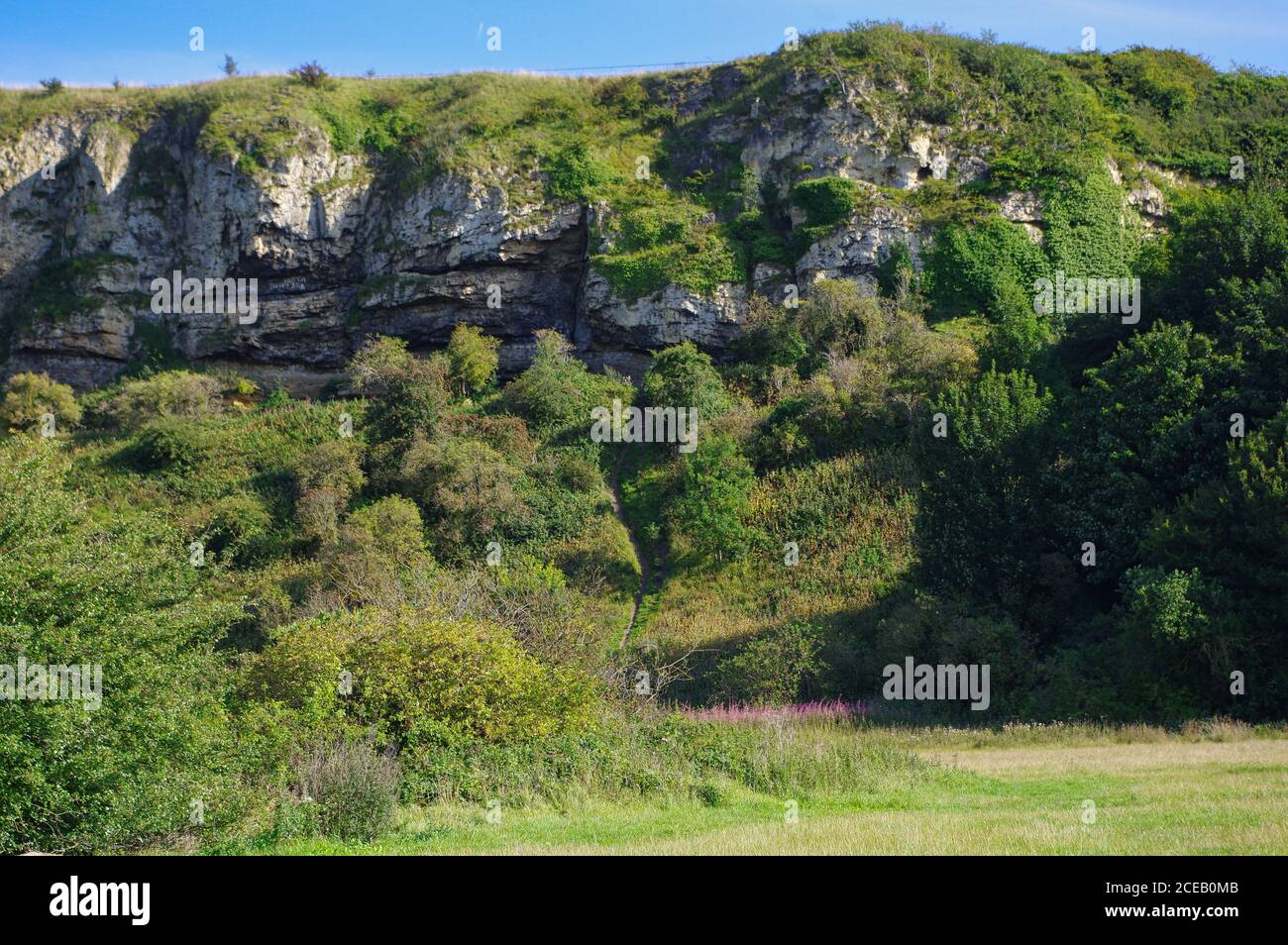 Limestone cliff side Stock Photo - Alamy