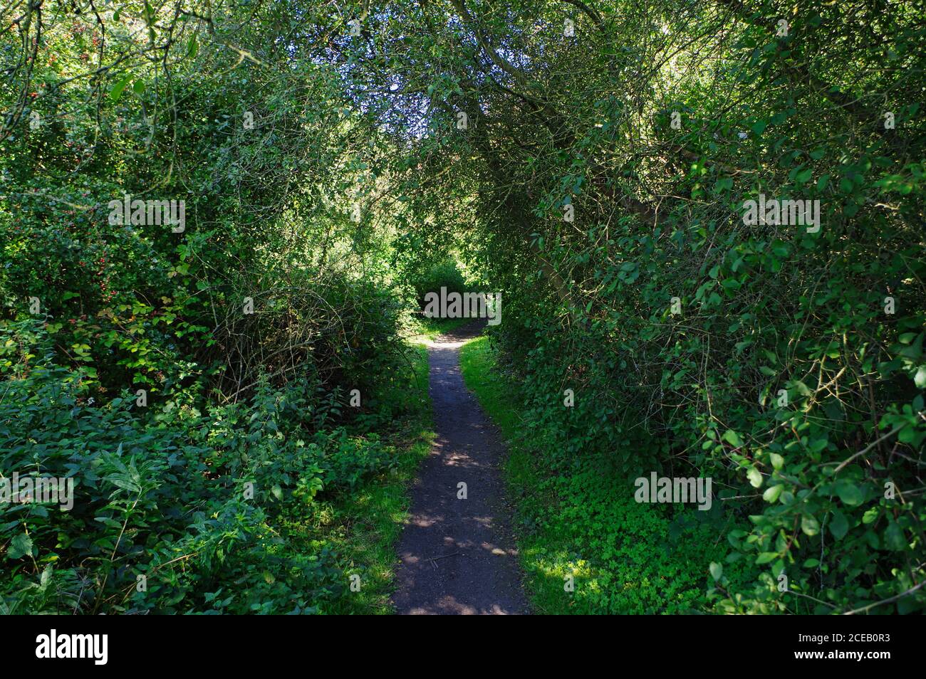 Covered pathway hi-res stock photography and images - Alamy