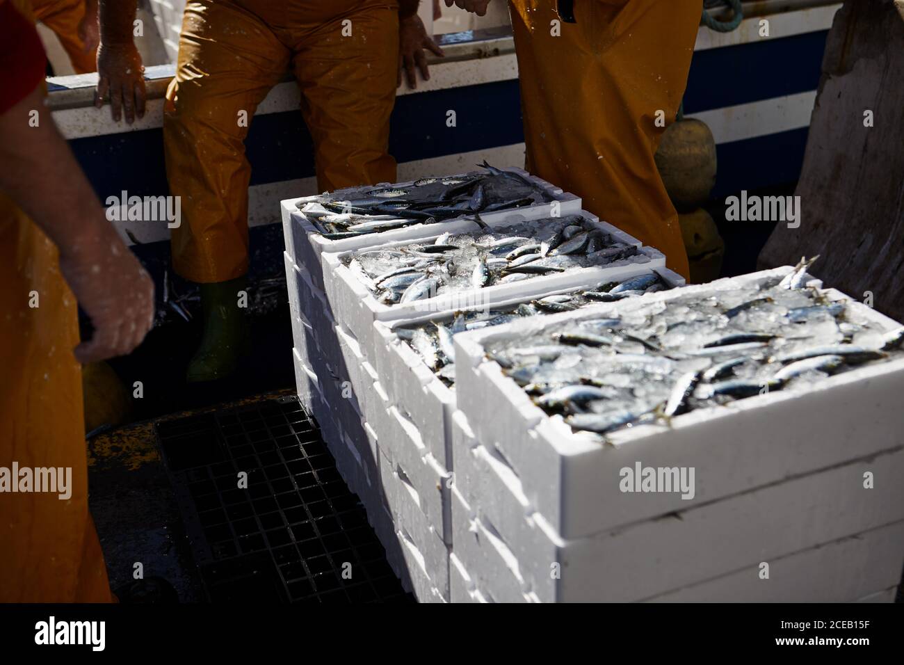 Frozen fish and factory hi-res stock photography and images - Alamy