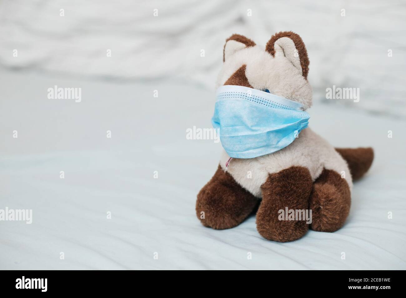 Cat Siamese with medical masks on bed. Sicker disease in children ...