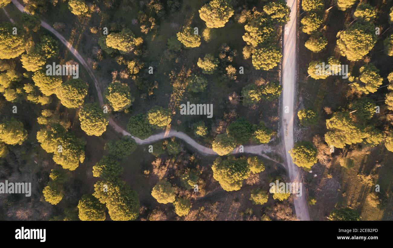 Two roads hi-res stock photography and images - Alamy