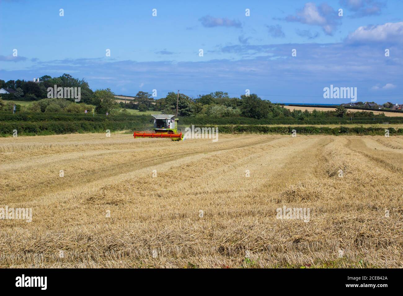 Claas chopper hi-res stock photography and images - Alamy