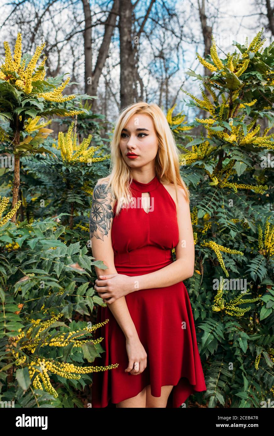 Woman standing in nature hi-res stock photography and images - Alamy