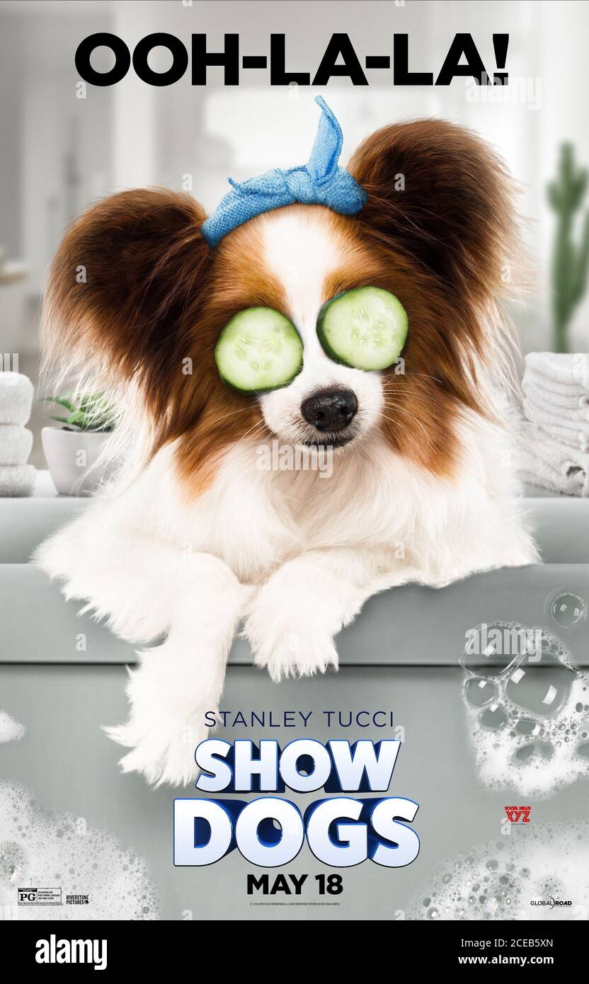 Show Dogs High Resolution Stock Photography and Images - Alamy