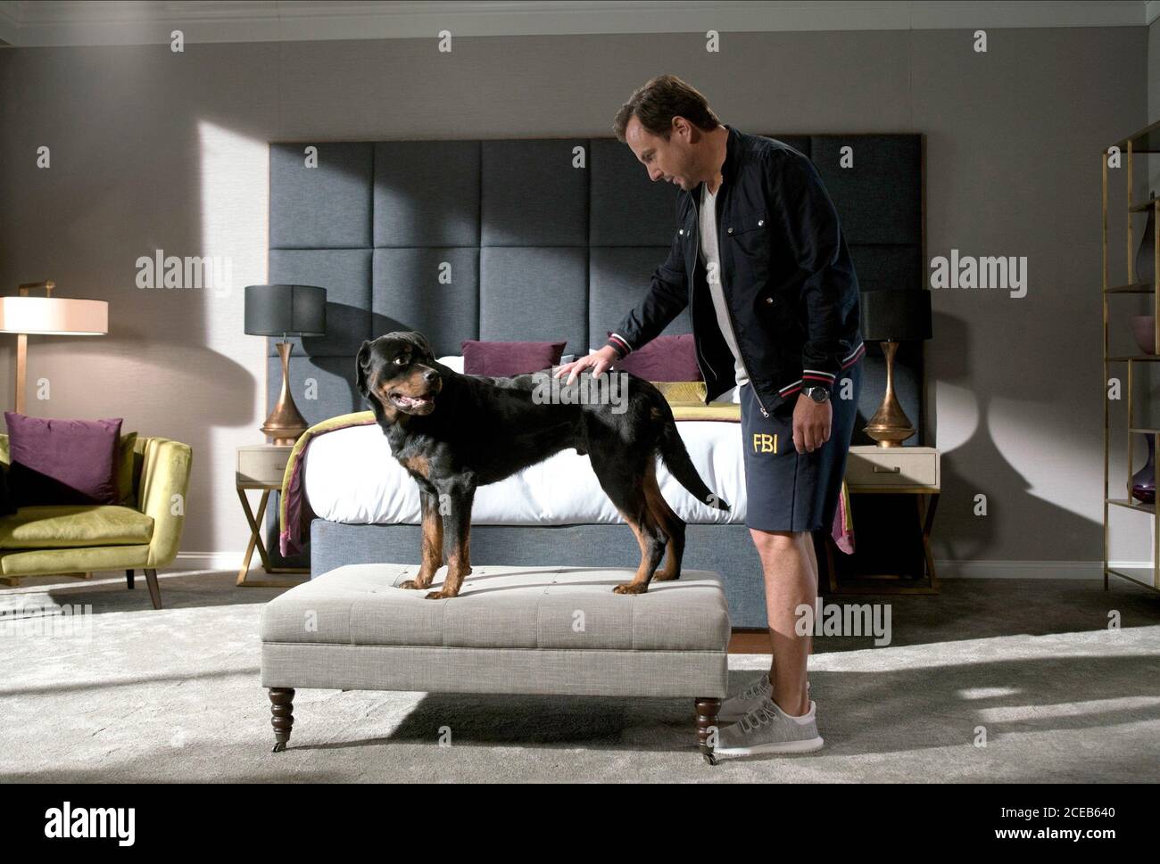 Show Dogs Will Arnett High Resolution Stock Photography and Images - Alamy