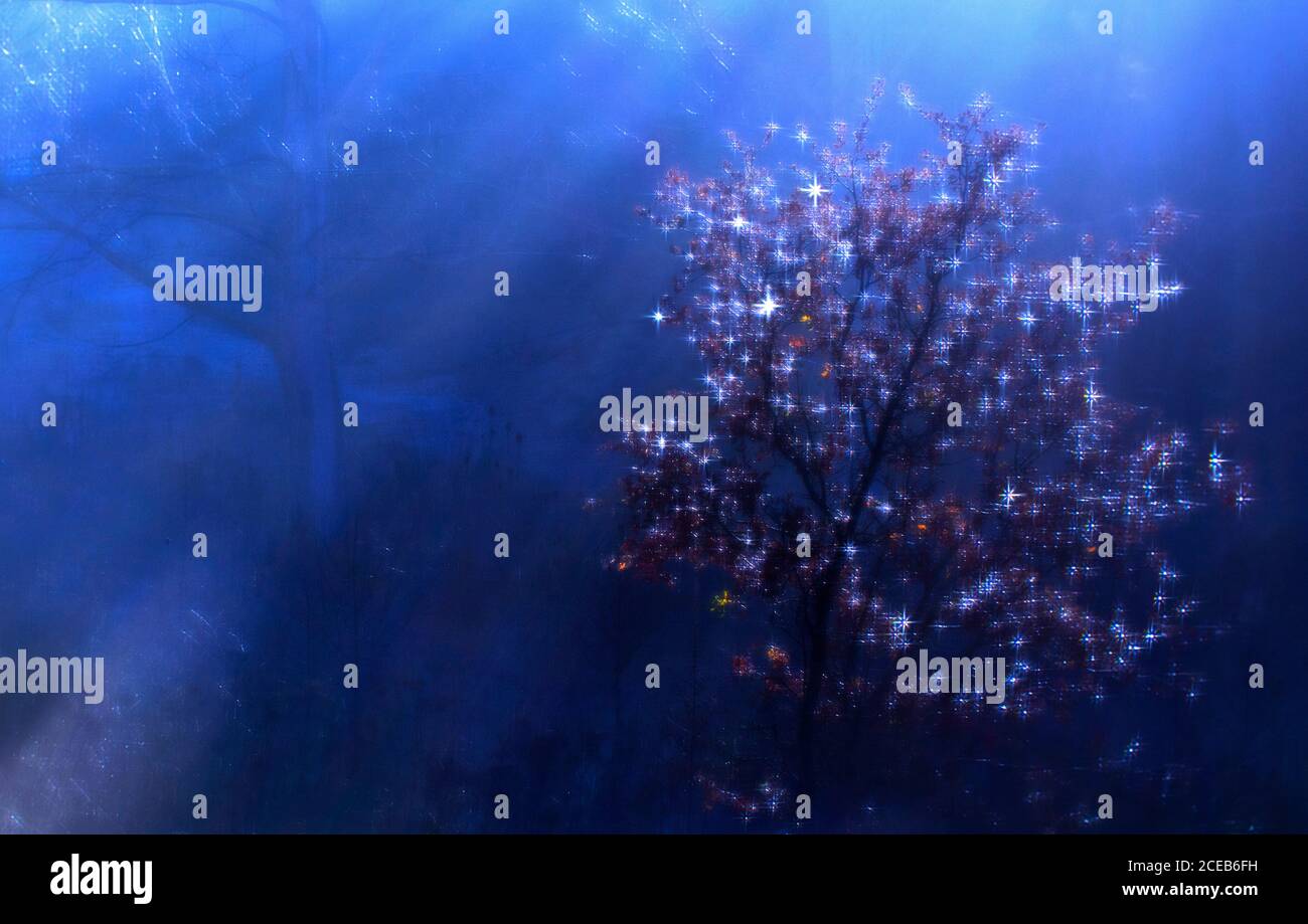 Autumn tree with foliage and sparkles on branches in glow in the night ...