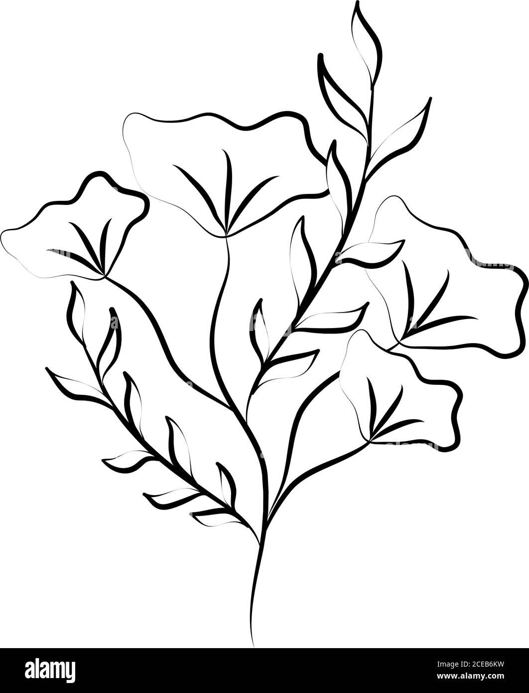 Herb Line Drawing