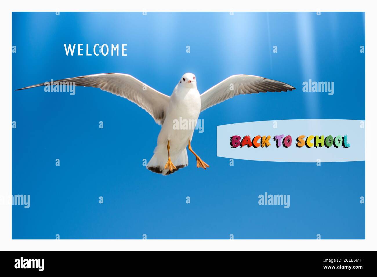 Back to school, education background for invitation, promotion poster ...