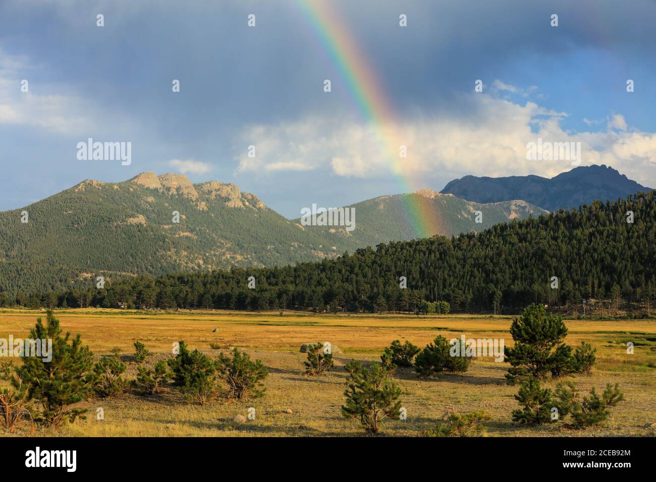 Rainbow over the forest hi-res stock photography and images - Alamy