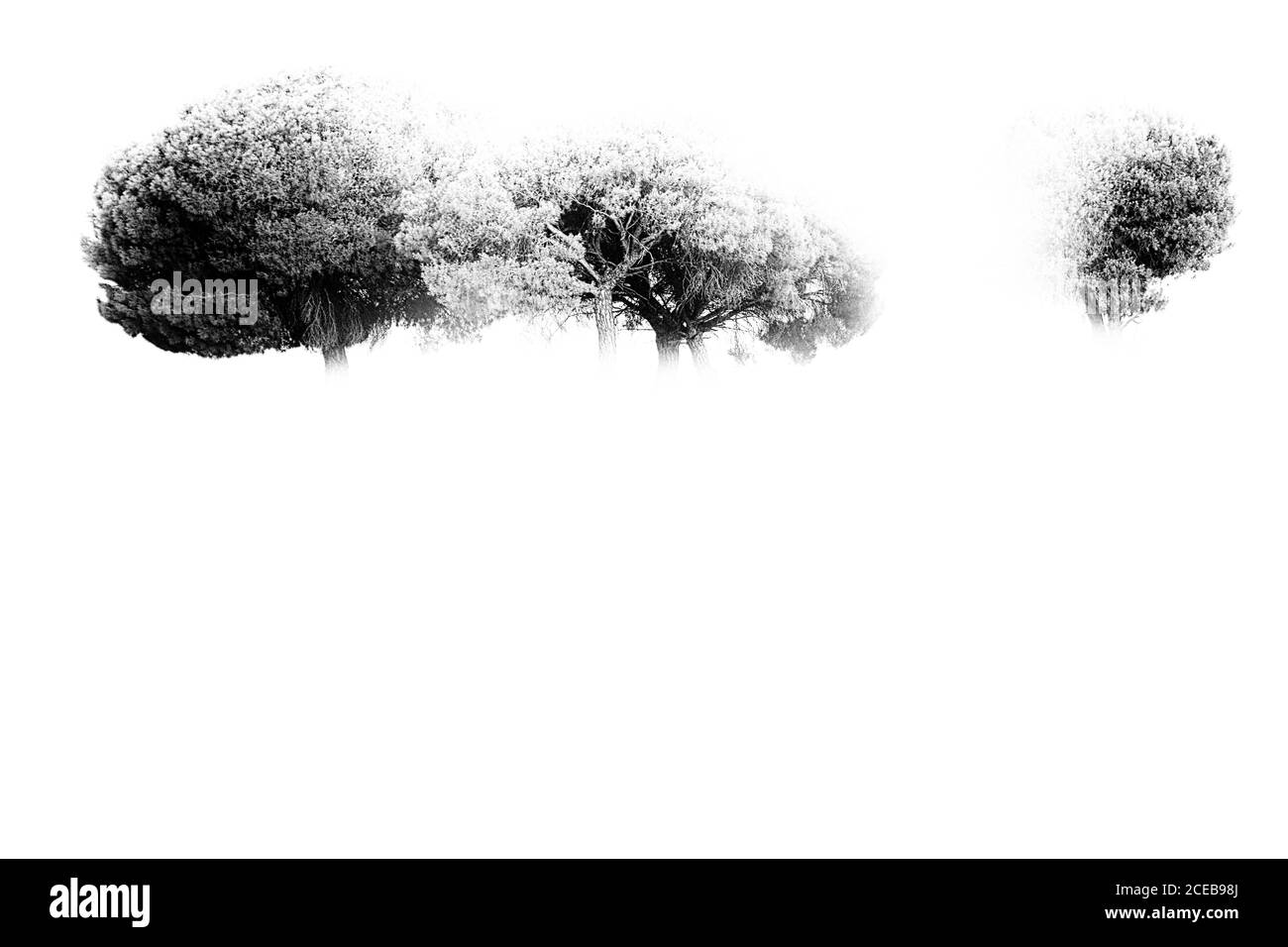 Landscape trees field bushes Cut Out Stock Images & Pictures - Alamy