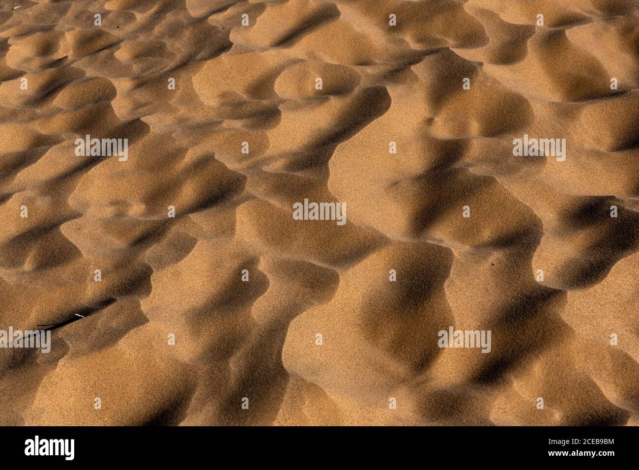 The desert floor reflects a history of seasonal rains and wind moving ...