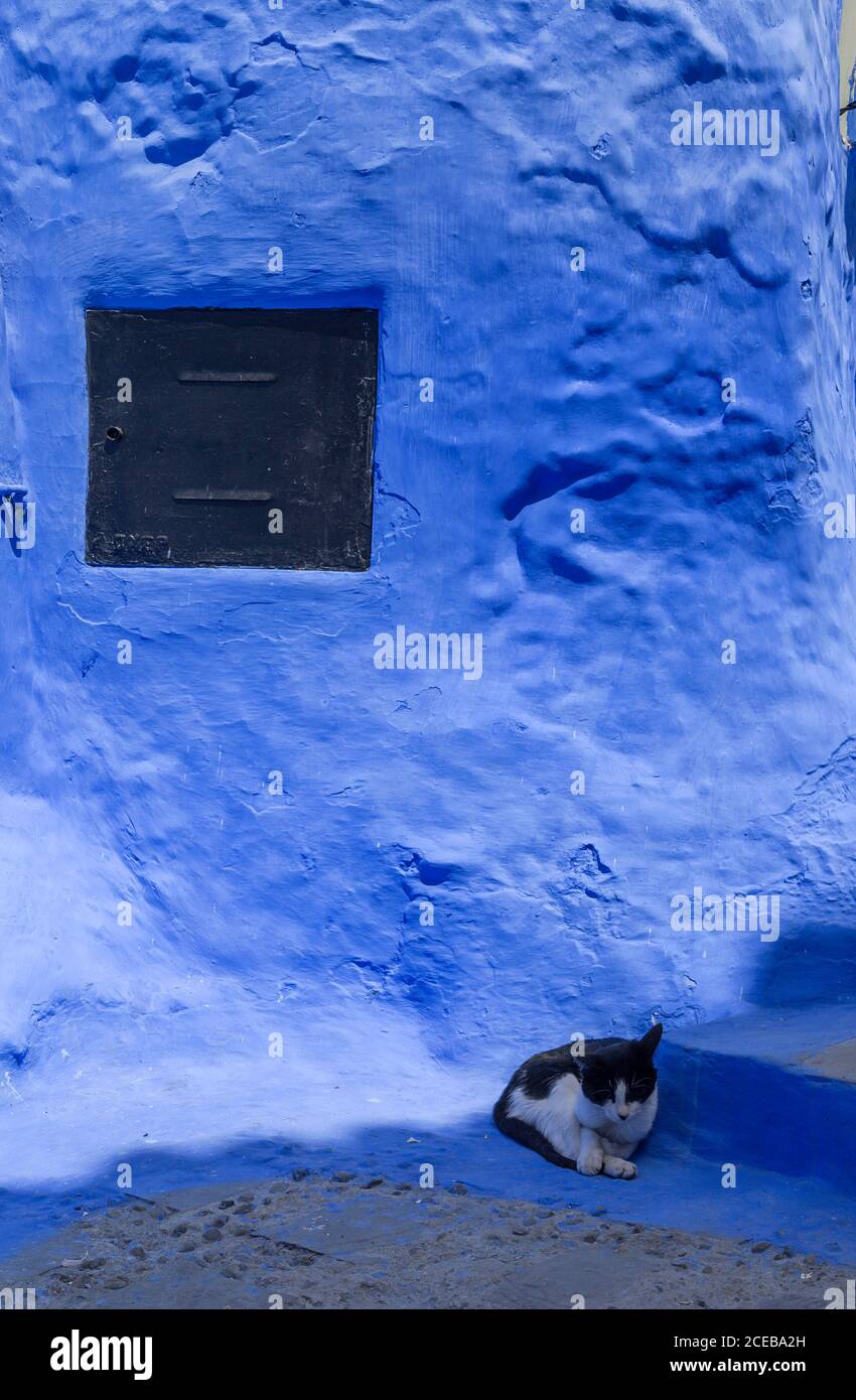 Chaouen the blue city of Morocco.Chefchaouen.architecture, streets ...
