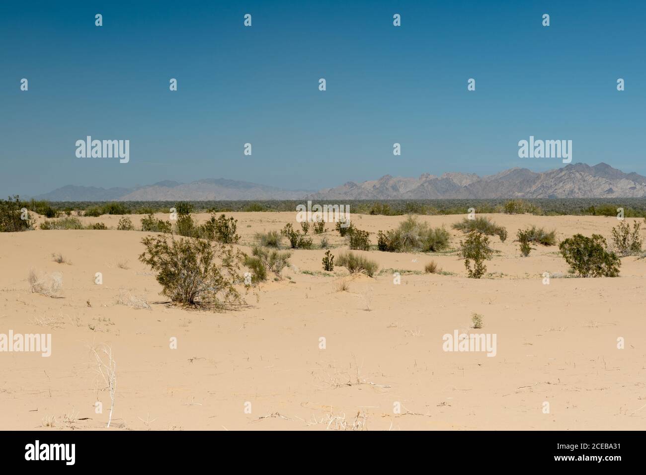 Overview of the desert Imperial Sand dunes on a cloudless spring day ...
