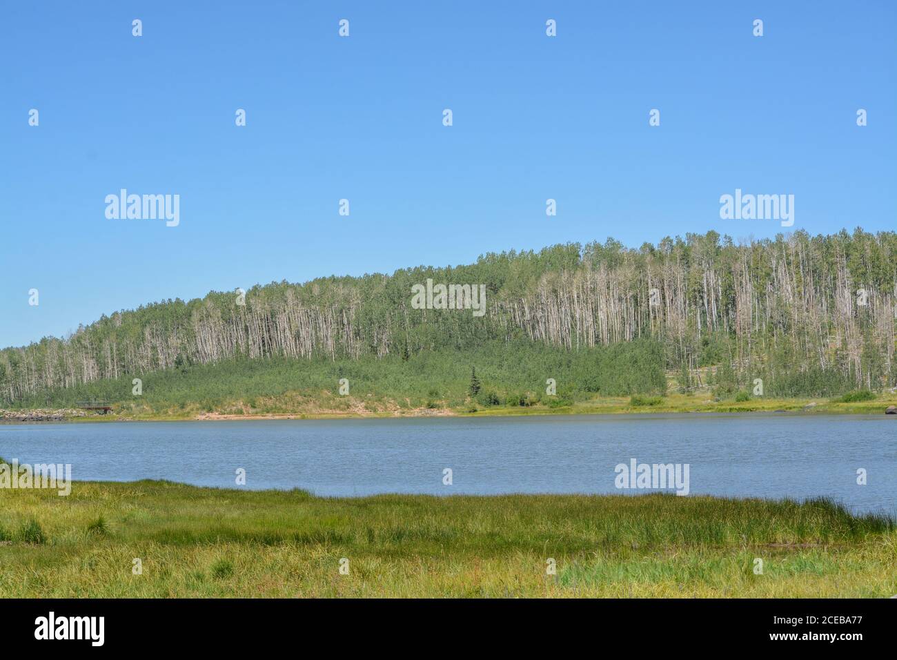The peaceful Freeman Reservoir below the mountainside of the Routt ...