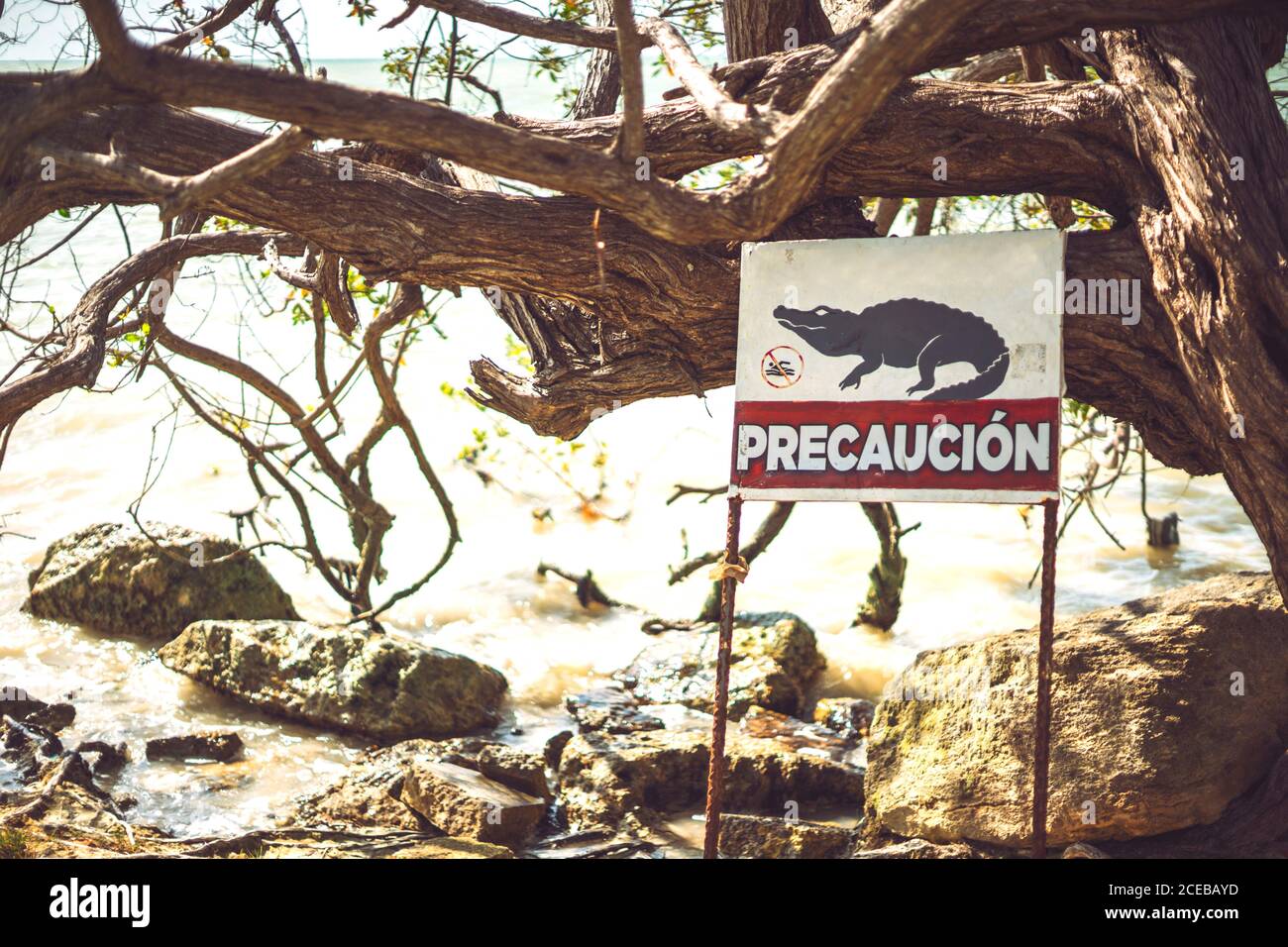 Weathered crocodile warning sign standing near tropical river in ...