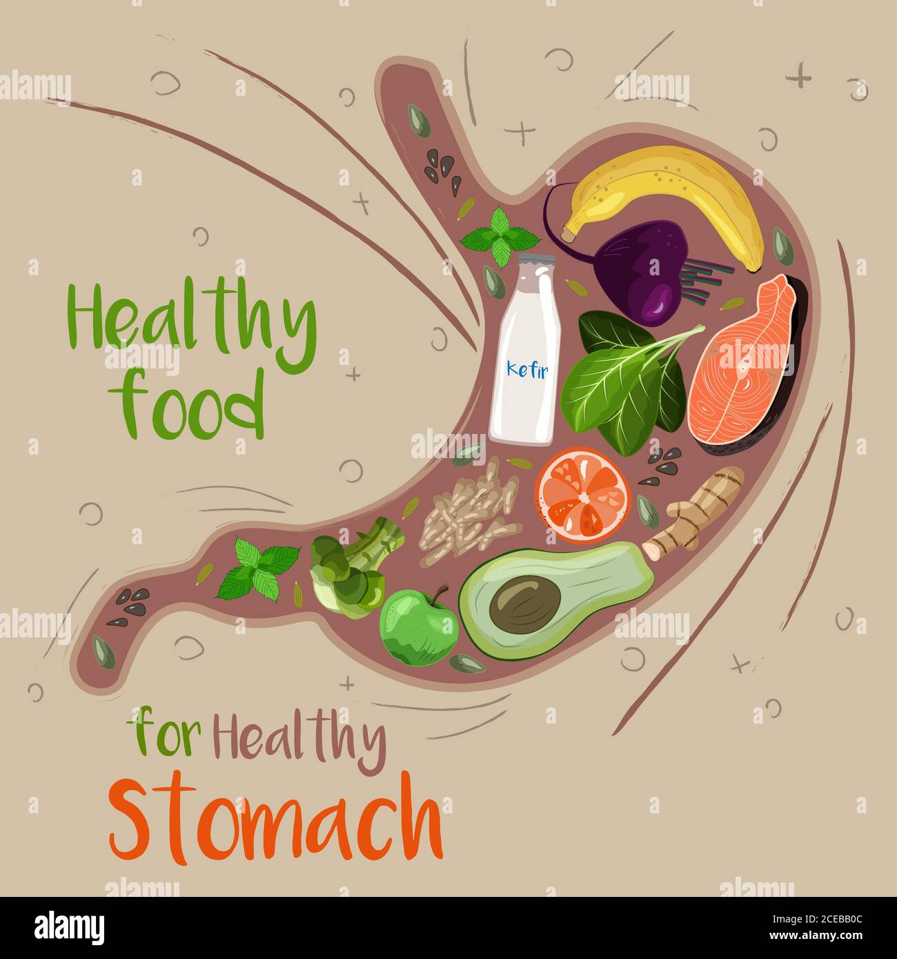 Stomach Full Of Food