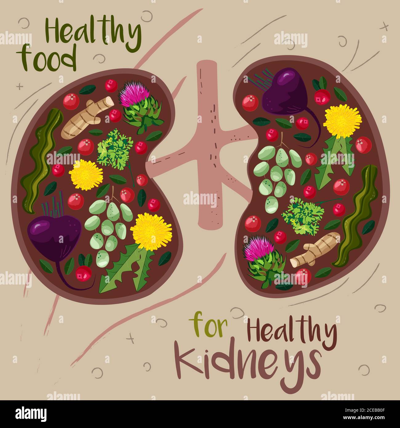 Milk thistle vector vectors hi-res stock photography and images - Alamy