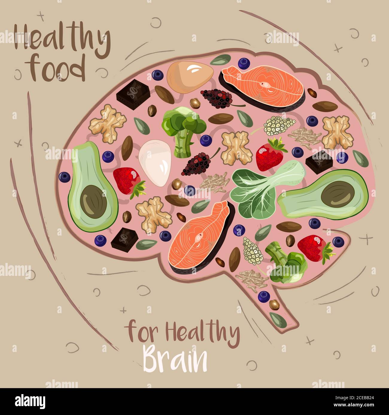 vector illustration of abstract brain filled with food good for it's ...
