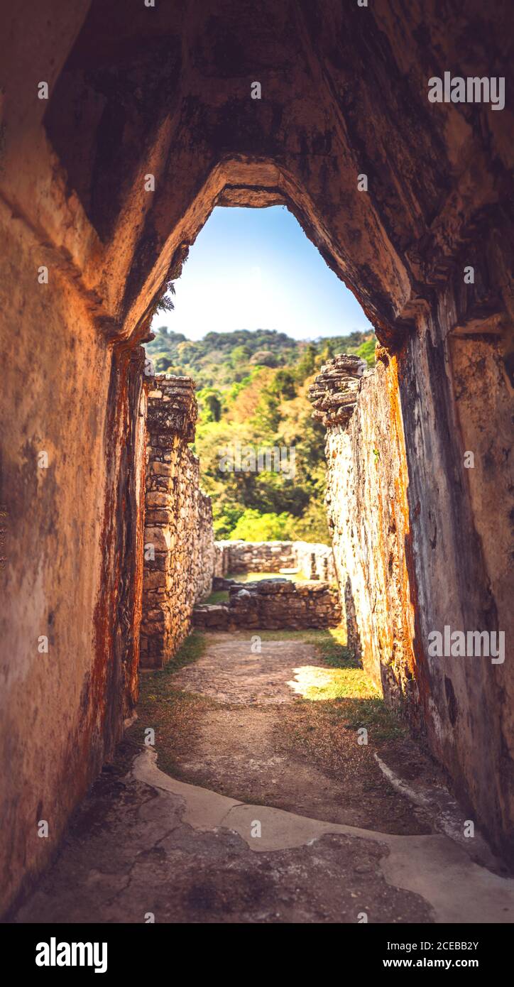 View of amazing Mayan pyramid located in Palenque city in Chiapas ...